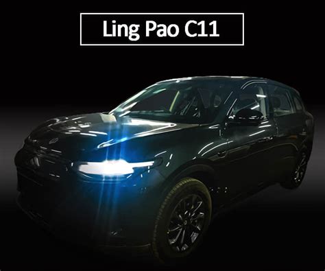 Fast Delivery Leapmotor C11 Lingpao 550km Long Nedc Range 400kw Big
