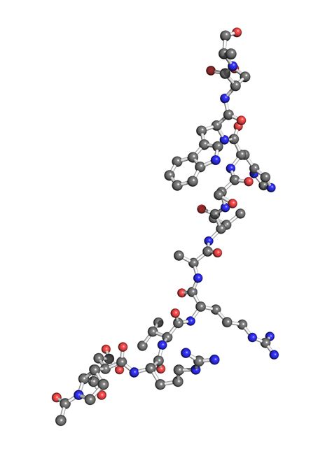 Spot Peptide Proteintech