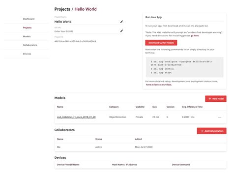 Hello World — Alwaysai