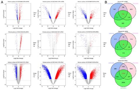 A Volcano Plots Of Differentially Expressed Genes In Geo Datasets