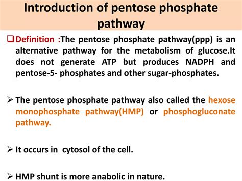 Respiration Andpentose Phosphate Pathway Pptx Lung And Respiratory Health Diseases And