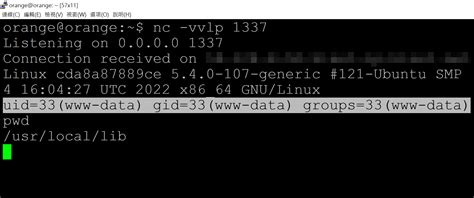 Confusion Attacks Exploiting Hidden Semantic Ambiguity In Apache
