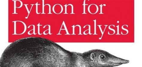 9 Python Analytics Libraries R Python