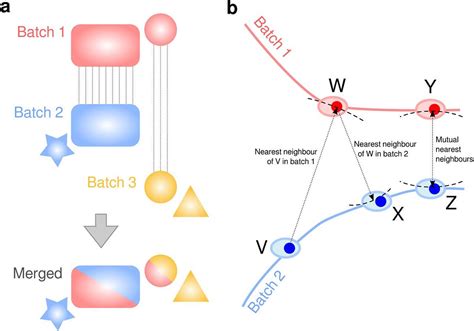 Effect Dilemma In Proteomics Batch Effect Size Effect Matrix Effect Sample Preparation Effect
