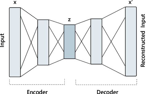 Illustration Of An Autoencoder Network Download Scientific Diagram