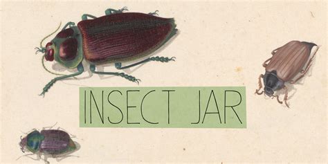 Insect Jar Kitchen Table Type Foundry