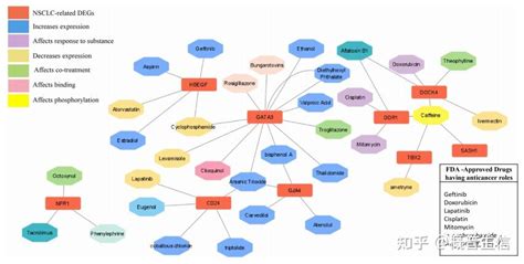 肿瘤新靶点和机制的探索：差异基因表达分析生信模式 知乎