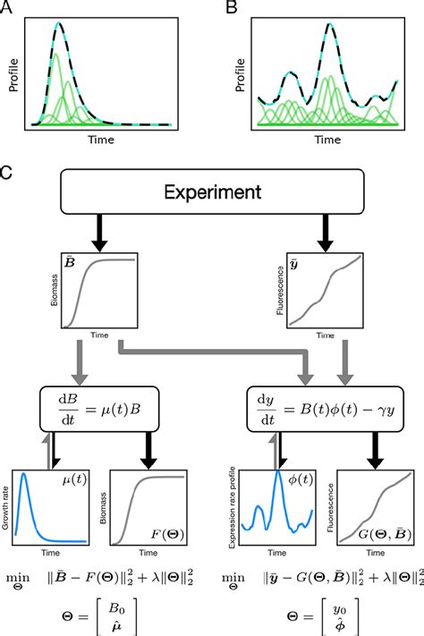 Algorithm Overview A B Growth And Gene Expression Rates Approximation Download Scientific