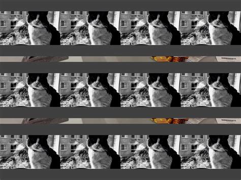 Corrupted Image On Connected Desktop App Issue Signalapp Signal Desktop GitHub