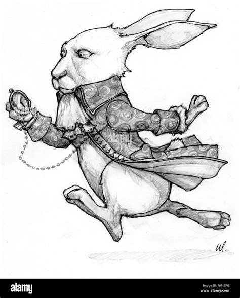 Tim Burton Alice In Wonderland Konijnen Tekeningen Alice In Wonderland