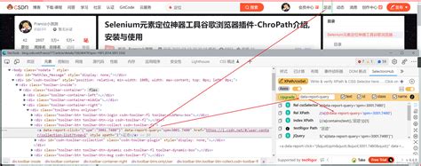 第七：元素定位浏览器插件 Selectorshub Csdn博客