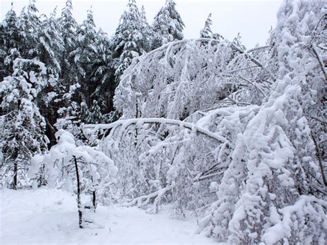 Народные приметы на 4 декабря 2022 года — что нельзя делать в этот день МК Сахалин