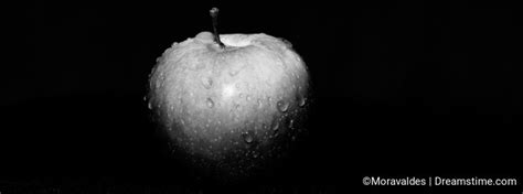 Freezing With Flash Dreamstime