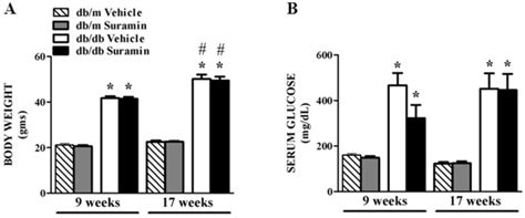 non diabetic db m heterozygous mice of 8 16 weeks and diabetic db db