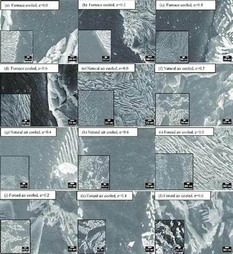 SEM Image Of TMP Specimen The Inset Shows A Lower Magnification View Download Scientific
