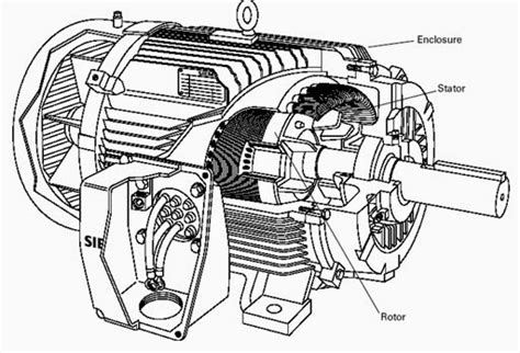 THREE PHASE AND SINGLE PHASE Induction Motors Electrical Motor Control Wirings