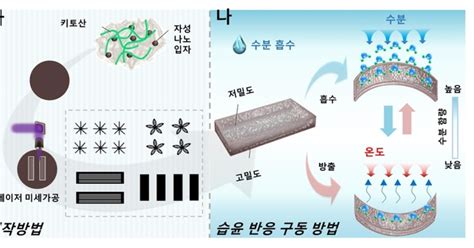 인체 안에서 형상 자유롭게 변형 소프트 의료로봇 개발 성공