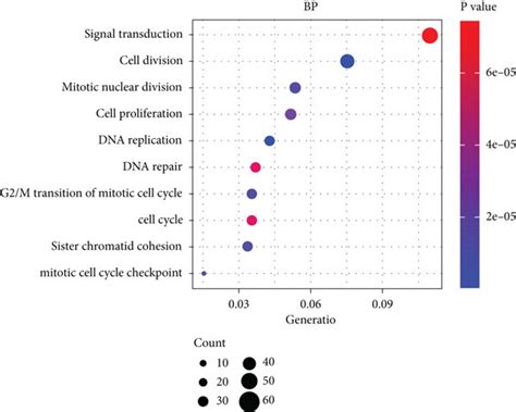 Potential Gene Annotations And Prospective Pathways Of Arnt2 Related