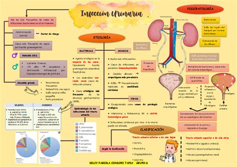 Infección Urinaria Delcy Fabiola Condori Tapia Grupo Infección