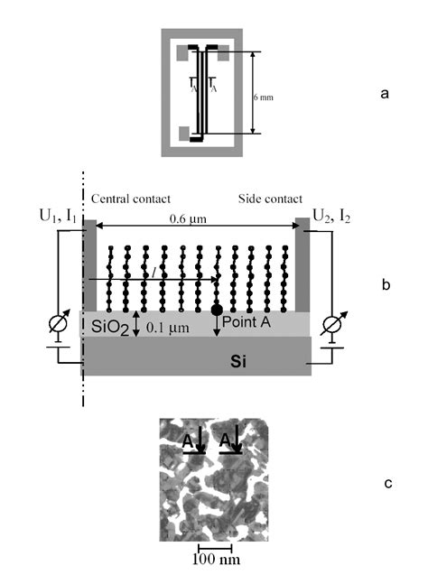 Samples And Scheme Of The Experiment Top View Of The First Type