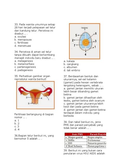 Latihan Uts Pdf