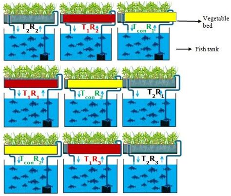 Experimental Layout Of Aquaponic Systems Download Scientific Diagram