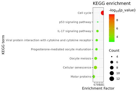 Ggplot2 之作：多彩和谐的通路富集可视化之旅 ！ 云生信