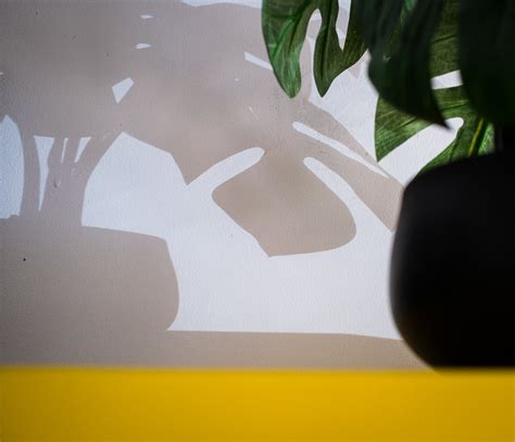 House Plant Website Maria Sciandra • Abstracts Streets Flickr