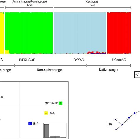 Clustering Analyses Using Snmf A And Dapc B Methods Based On 1707 Download Scientific