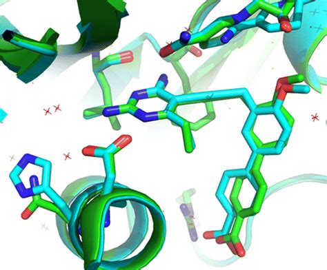 带电荷的炔丙基连接的抗叶酸揭示抗叶酸的机制并抑制具有临床相关突变的耐甲氧苄氨嘧啶的mrsa菌株。 Journal Of Medicinal Chemistry X Mol