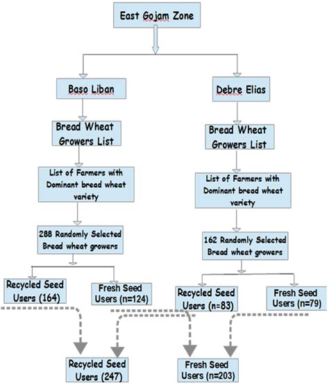 Sampling Procedures Download Scientific Diagram