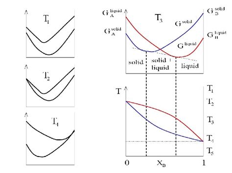 Binary Phase Diagrams Lecture 3 Binary Phase Diagrams