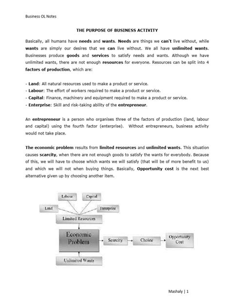 Business Notes Ol Igcse Pdf Taxes Franchising