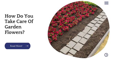 how do you take care of garden flowers