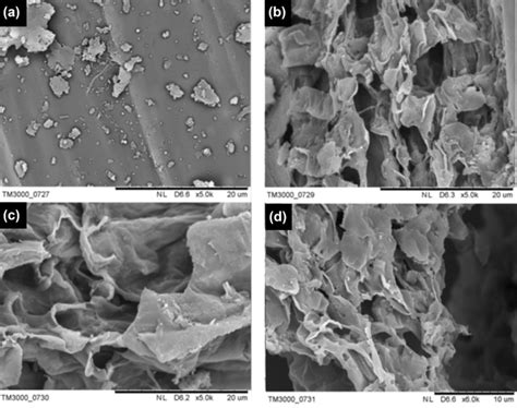 Sem Micrographs Of A Untreated Rice Straw Pretreated Rice Straw By B Download Scientific