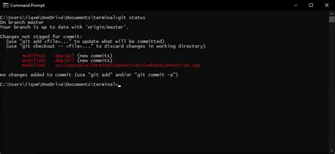 BUG ConhostConnection Post Da Cdf D Ba F F F D B Causes App To Crash