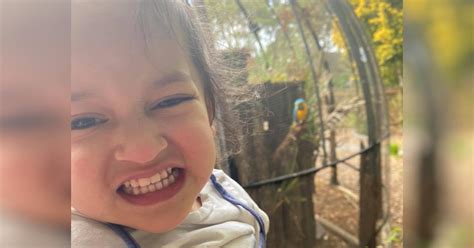 Mila Anne And Her Lifes Journey Givealittle