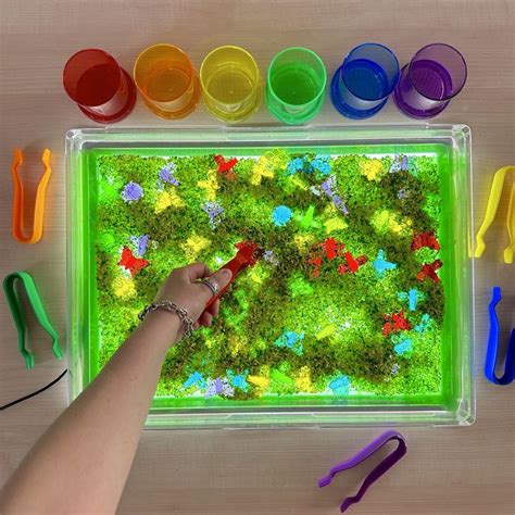 garden bug sorting 🐞🌈 can you sort all the bugs you find hidden in the