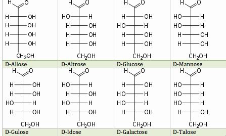 D Glucose Fischer Projection