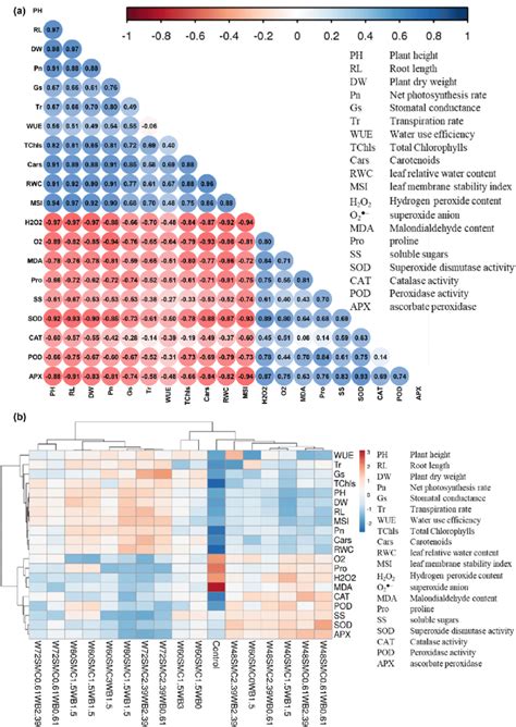A Pearsons Correlation Analysis And B Heatmap Revealing The Download Scientific Diagram