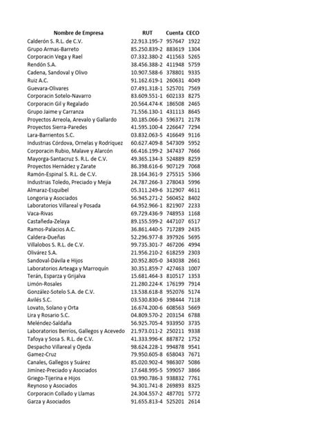 datos dummy excel pdf