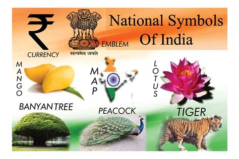 National Symbols Of India And Their Meaning Kmhouseindia A Look At