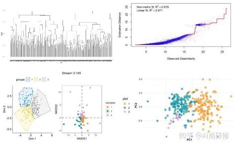 基于r语言的森林生态系统结构、功能与稳定性分析与制图 知乎