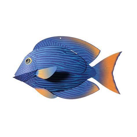 Poisson Chirurgien Mémoires Docéans