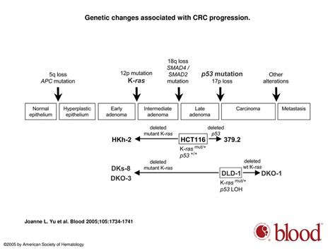 Oncogenic Events Regulate Tissue Factor Expression In Colorectal Cancer Cells Implications For