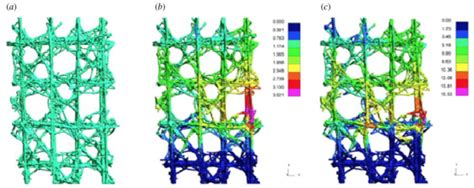 Finite Element Simulation On 3d Printed Skeleton Download Scientific
