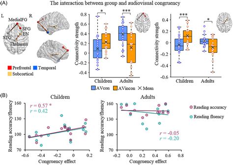 Differences In Brain Functional Networks For Audiovisual Integration