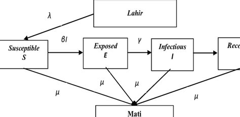 Gambar 1 Diagram Kompartemen Model Seir Dengan Laju Kelahiran Dengan Download Scientific