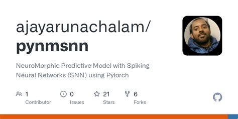pynmsnn pynm spiking binary classifier model ipynb at main · ajayarunachalam pynmsnn · github