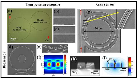 A Review Of Photonic Sensors Based On Ring Resonator Structures Three Widely Used Platforms And